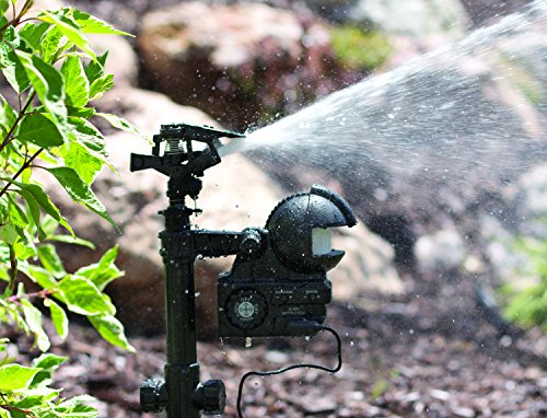 Orbit 62100 Yard Enforcer Motion-Activated Sprinkler with Day & Night Detection Modes,Black