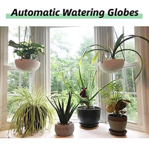 Gddochn 10 Pcs Plastic Clear Self-Watering Bulbs,Garden Plant Watering Globes,Plastic Automatic Devices Watering Globe for Indoor Outdoor Plants,Flowers