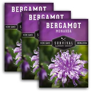 survival garden seeds – bergamot herb (bee balm) seed for planting – 3 packs with instructions to plant and grow lavender monarda wildflowers in your home vegetable garden – non-gmo heirloom variety