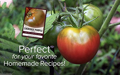 Cherokee Purple Tomato Seeds for Planting Heirloom Non-GMO Seeds for Home Garden Vegetables Makes a Great Gift for Gardening by Gardeners Basics