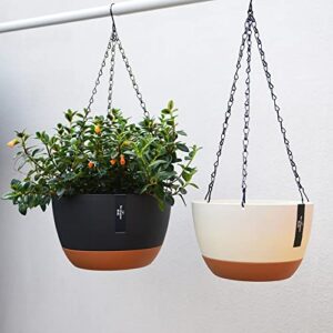 3 Pack Plastic Hanging Planters Set ,8.3 Inch Hanging Flower Plant Pot with Drainage Hole for Indoor Outdoor Plants, Round Hanging Basket with Removable Tray for Home Garden Porch Balcony Patio Decor