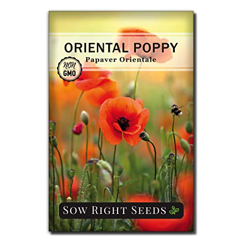 Sow Right Seeds - Oriental Poppy Seeds to Plant - Full Instructions for Planting and Growing a Beautiful Flower Garden; Non-GMO Heirloom Seeds; Wonderful Gardening Gift (1)