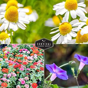 10 Flower Collection - Four O’Clock, Chamomile, Shasta Daisy, Echinacea Coneflower, Marigold, Morning Glory, Nasturtium, Snapdragon, Sunflower Zinnia - Non-GMO Heirloom Survival Garden Seeds