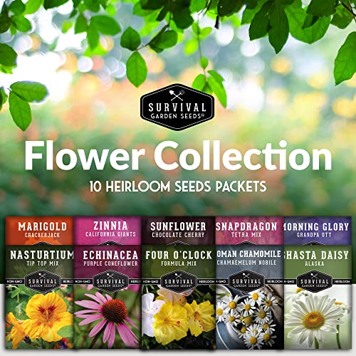 10 Flower Collection - Four O’Clock, Chamomile, Shasta Daisy, Echinacea Coneflower, Marigold, Morning Glory, Nasturtium, Snapdragon, Sunflower Zinnia - Non-GMO Heirloom Survival Garden Seeds