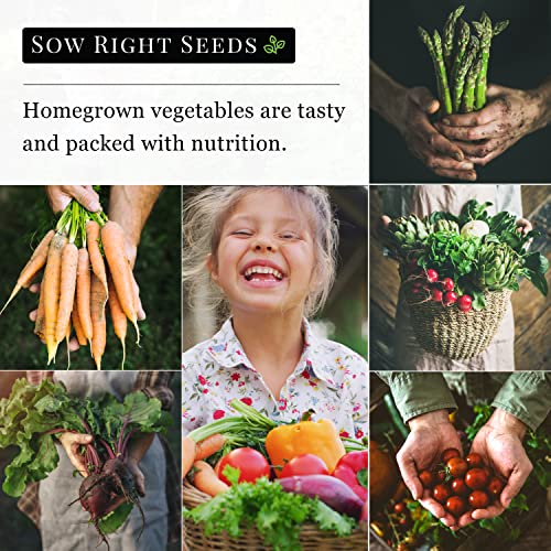 Sow Right Seeds - Mary Washington Asparagus Seed for Planting - Non-GMO Heirloom Packet with Instructions to Plant an Outdoor Home Vegetable Garden - Great Gardening Gift (1)