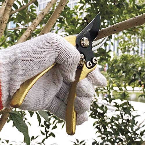 Mifuse 6.5" Professional Small Bypass Pruning Shears with Non-Stick Blade and Aluminium Handle,Heavy Duty Garden Clippers, High Performance Hand Pruner Razor Sharp Secateurs 3/4-inch Cut.