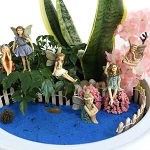 Beruyu 6 Pieces Fairy Garden Accessories, Fairy Garden Miniature Fairies Figurines for Mini Garden Lawn and Potted Plants Decoration