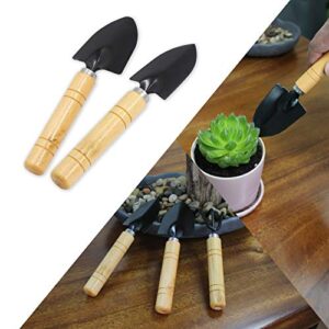 FALIDI Bonsai Set 10 PCS-Mini Gardening Tools Kit for Indoor Outdoor Bonzai Include Pruner, Fold Scissors, Mini Rake, Tweezers, Cleaning Brush