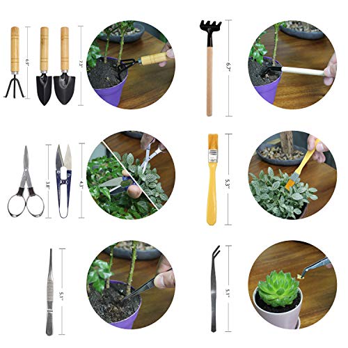 FALIDI Bonsai Set 10 PCS-Mini Gardening Tools Kit for Indoor Outdoor Bonzai Include Pruner, Fold Scissors, Mini Rake, Tweezers, Cleaning Brush