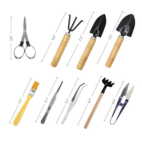 FALIDI Bonsai Set 10 PCS-Mini Gardening Tools Kit for Indoor Outdoor Bonzai Include Pruner, Fold Scissors, Mini Rake, Tweezers, Cleaning Brush