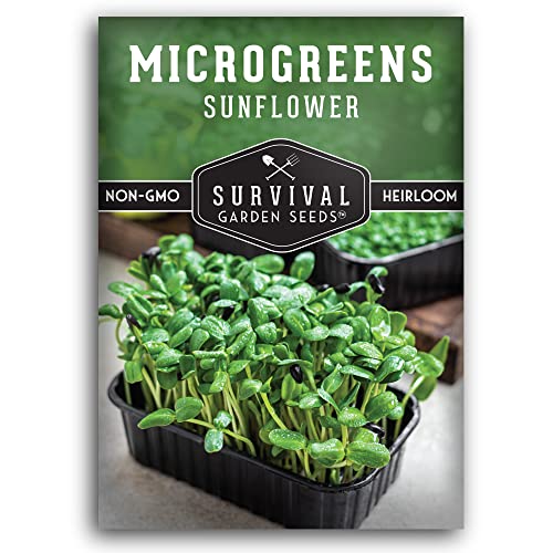 Survival Garden Seeds Sunflower Microgreens for Sprouting and Growing - Seed to Sprout Green Leafy Micro Vegetable Plants Indoors - Grow Your Own Mini Windowsill Garden - Non-GMO Heirloom Variety