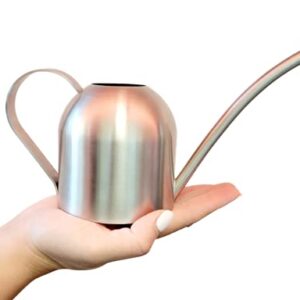 Itza 15 oz. Small Stainless Steel Metal Watering Can for Indoor, Outdoor Houseplants, Mini Watering Tool for Your Bonsai, Succulent & Orchid Plant Garden