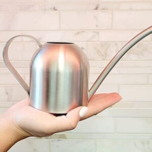 Itza 15 oz. Small Stainless Steel Metal Watering Can for Indoor, Outdoor Houseplants, Mini Watering Tool for Your Bonsai, Succulent & Orchid Plant Garden