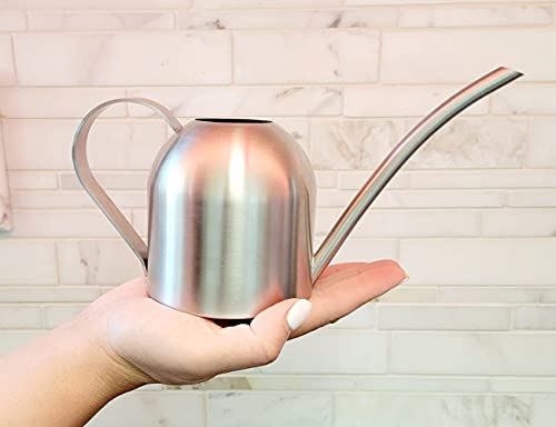 Itza 15 oz. Small Stainless Steel Metal Watering Can for Indoor, Outdoor Houseplants, Mini Watering Tool for Your Bonsai, Succulent & Orchid Plant Garden