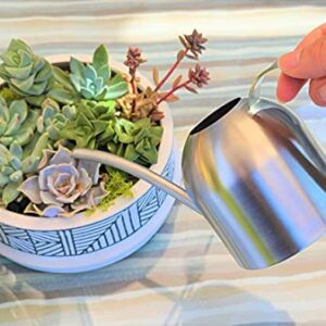 Itza 15 oz. Small Stainless Steel Metal Watering Can for Indoor, Outdoor Houseplants, Mini Watering Tool for Your Bonsai, Succulent & Orchid Plant Garden