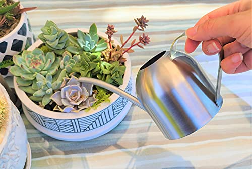 Itza 15 oz. Small Stainless Steel Metal Watering Can for Indoor, Outdoor Houseplants, Mini Watering Tool for Your Bonsai, Succulent & Orchid Plant Garden