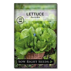 sow right seeds – jericho lettuce seeds for planting – non-gmo heirloom packet with instructions to plant a home vegetable garden; indoors or outdoor; heat tolerant romaine lettuce; gardening gift