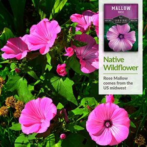 Survival Garden Seeds - Rose Mallow Seed for Planting - Packet with Instructions to Plant and Grow Bright Pink Native Wildflower in Your Home Vegetable Garden - Non-GMO Heirloom Variety