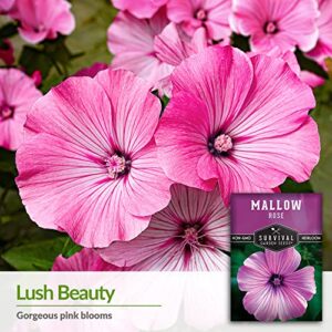 Survival Garden Seeds - Rose Mallow Seed for Planting - Packet with Instructions to Plant and Grow Bright Pink Native Wildflower in Your Home Vegetable Garden - Non-GMO Heirloom Variety