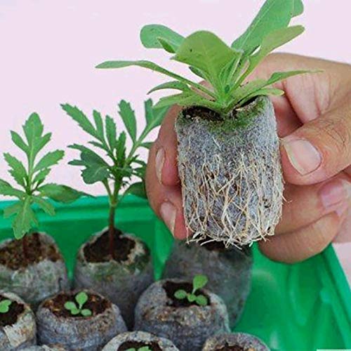 changsha 120 Pcs Peat Pellet - 30mm Plant Pallet Seedling Soil Block，Plant Starting Plugs Peat Pellets Bulk for Plant Starter Pellet ，Transplanting Growing Garden Flower Vegetables (120)