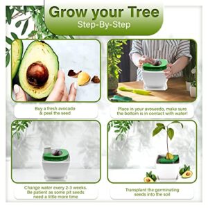 AvoSeedo Avocado Tree Growing Kit with Pot, Green & White, Practical Gifts for Women, Mom, Sister, Best Friend & Kids, Plant Indoors with Novelty Pit Grower Boat & Kitchen Garden Seed Starter