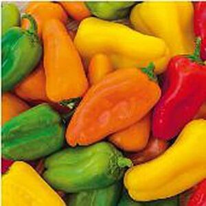 yum yum mix sweet peppers seeds (20+ seeds) | non gmo | vegetable fruit herb flower seeds for planting | home garden greenhouse pack