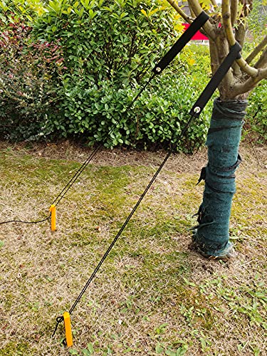 WANZHU Tree Stake Kits - 6pcs 11.4'' yellow Anchoring Stakes + 6 Straps 65 Feet Rope Enough for 2 Finish Trees Sapling Straight Healthy Growth Outdoor Garden Yard Plant Fix