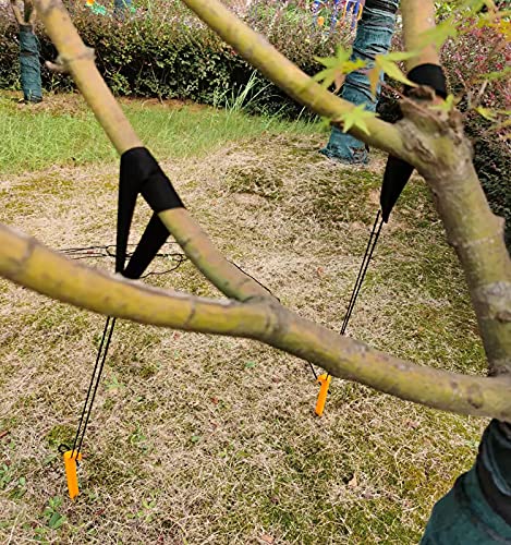 WANZHU Tree Stake Kits - 6pcs 11.4'' yellow Anchoring Stakes + 6 Straps 65 Feet Rope Enough for 2 Finish Trees Sapling Straight Healthy Growth Outdoor Garden Yard Plant Fix