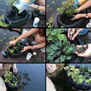 Aquascape Floating Island Planter for Ponds, Gardens, and Water Features | 89006