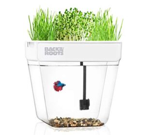 back to the roots indoor aquaponic garden and fishtank – 3 gallon self watering, mess-free planter and self-cleaning fishtank for herbs, microgreens, bamboo, succulents, and houseplants, support fish