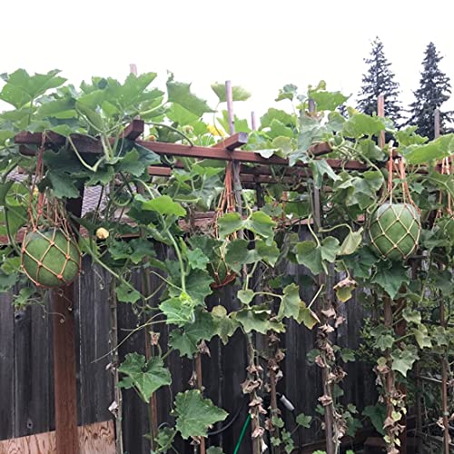 LSHCX Melon Hammocks Cradles, 5 Pack of Nets for Melons, Perfect for Growing Cantaloupe, Watermelon in Vertical Garden (Orange)