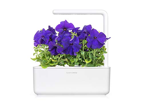 Click and Grow Smart Garden Blue Petunia Plant Pods, 3-Pack