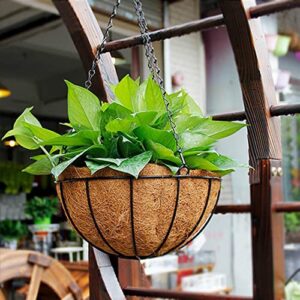 FUFUUIQY 4 Pack Metal Hanging Planter Basket with Coco Coir Liner Outdoor 8 Inch Chain Round Wire Plant Holder Flower Pots Hanging Baskets for Plants Outdoor Garden Decorations