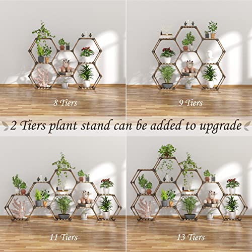 Allinside Hexagonal Plant Stand Indoor, Wood Outdoor Plant Shelf for Plants, 7 Potted Ladder Plant Holder Transformable Plant Pot Stand for Corner Window Garden Balcony Living Room - 7 Tiers