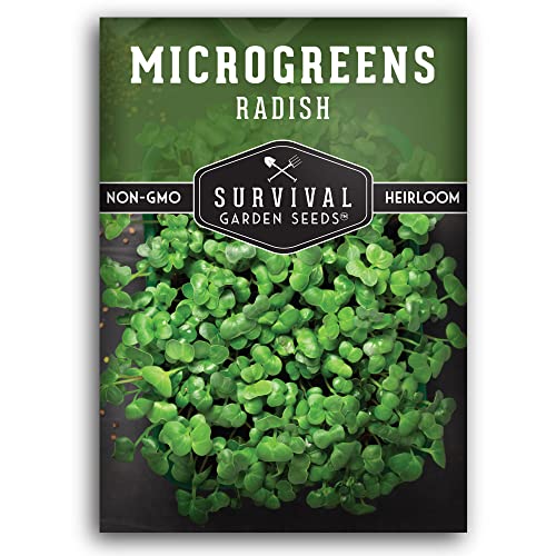 Survival Garden Seeds Radish Microgreens for Sprouting and Growing - Seed to Sprout Green Leafy Micro Vegetable Plants Indoors - Grow Your Own Mini Windowsill Garden - Non-GMO Heirloom Variety