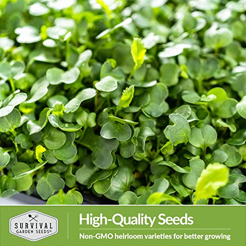 Survival Garden Seeds Radish Microgreens for Sprouting and Growing - Seed to Sprout Green Leafy Micro Vegetable Plants Indoors - Grow Your Own Mini Windowsill Garden - Non-GMO Heirloom Variety