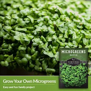 Survival Garden Seeds Radish Microgreens for Sprouting and Growing - Seed to Sprout Green Leafy Micro Vegetable Plants Indoors - Grow Your Own Mini Windowsill Garden - Non-GMO Heirloom Variety