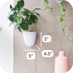 Make Good Virgo Wall Planters (Set of 3) - Easy to Water and Install - Lightweight - Design Your Own Vertical Garden - Melamine Plastic