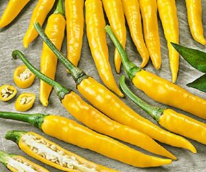 david’s garden seeds pepper cayenne golden fba-00081 (yellow) 25 non-gmo, heirloom seeds