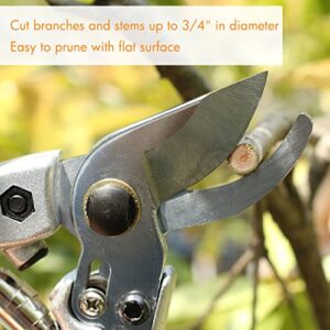 Gardzen 8" Bypass Pruning Shear Garden Scissors, SK5 Sharp Precision Cut Steel Blade Pruner, Blade Lock