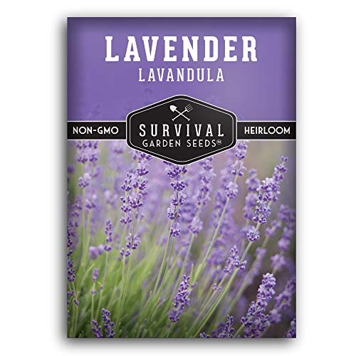 Lavender Seed for Planting - 1 Packet with Instructions to Plant and Grow Edible & Medicinal Lavandula Herbs in Your Home Vegetable Garden - Non-GMO Heirloom Variety - Survival Garden Seeds