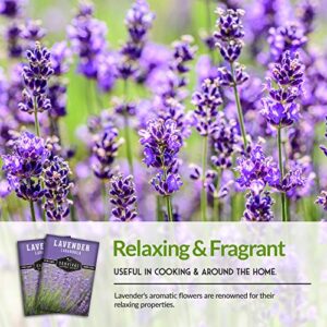 Lavender Seed for Planting - 1 Packet with Instructions to Plant and Grow Edible & Medicinal Lavandula Herbs in Your Home Vegetable Garden - Non-GMO Heirloom Variety - Survival Garden Seeds