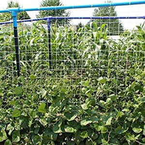 PullyBuy Soft Mesh Nylon Trellis Netting Roll - 5 x 350 ft Heavy Duty Garden Netting for Climbing Plants,Garden Melons Vegetables, Grape Racks, Hydroponic, 5x350ftnet