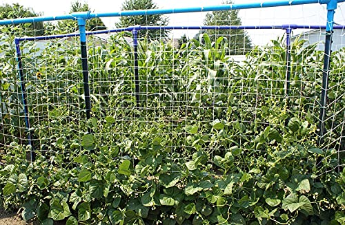 PullyBuy Soft Mesh Nylon Trellis Netting Roll - 5 x 350 ft Heavy Duty Garden Netting for Climbing Plants,Garden Melons Vegetables, Grape Racks, Hydroponic, 5x350ftnet