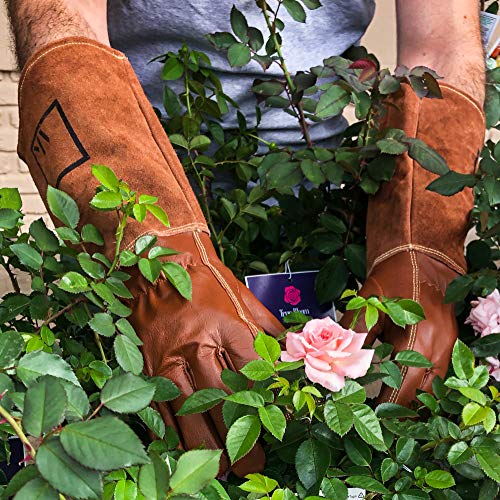 Rose Pruning Gloves, Leather Garden Gloves Long Gardening Gloves for Women and Men Rose Gloves Cut Proof Cowhide Suede Gauntlet Brown Garden Gloves Work Rose Gardening Gloves M