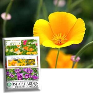 golden yellow california poppy flower seeds for planting, 2000+ seeds per packet, (isla’s garden seeds), non gmo & heirloom, scientific name: eschscholzia californica, great home flower garden gift