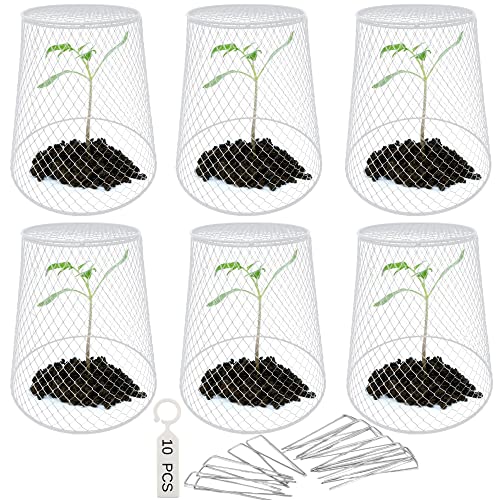 RE GOODS Chicken Wire Plant Cover – 6 Garden Cloche Baskets, Cage Protectors from Animals and Rabbits, Includes 18 Garden Stakes and 10 Waterproof Labels (White)