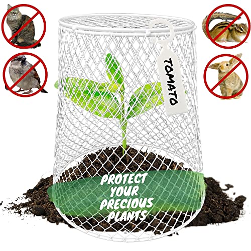 RE GOODS Chicken Wire Plant Cover – 6 Garden Cloche Baskets, Cage Protectors from Animals and Rabbits, Includes 18 Garden Stakes and 10 Waterproof Labels (White)