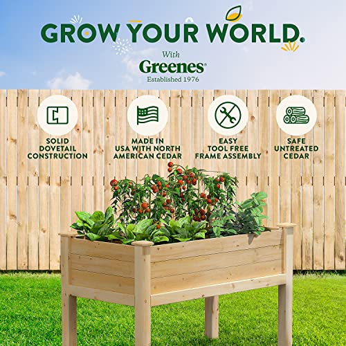 Greenes Fence RCEV2448 Fence Elevated Garden Bed, 48" L x 24" W x 31", Cedar