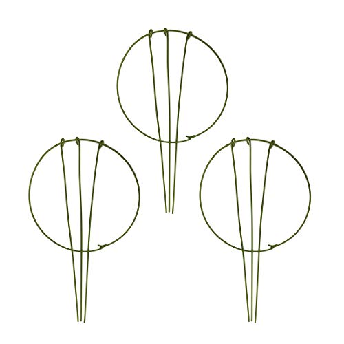 wowoda 3-Pack Garden Plant Support Stake Green Plant Support Rings for Climbing Plant, Flowers ( 10" Wide x 17" High )